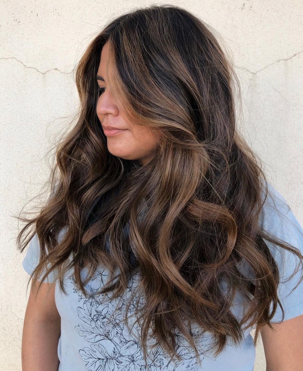 Partial Light Brown Highlights